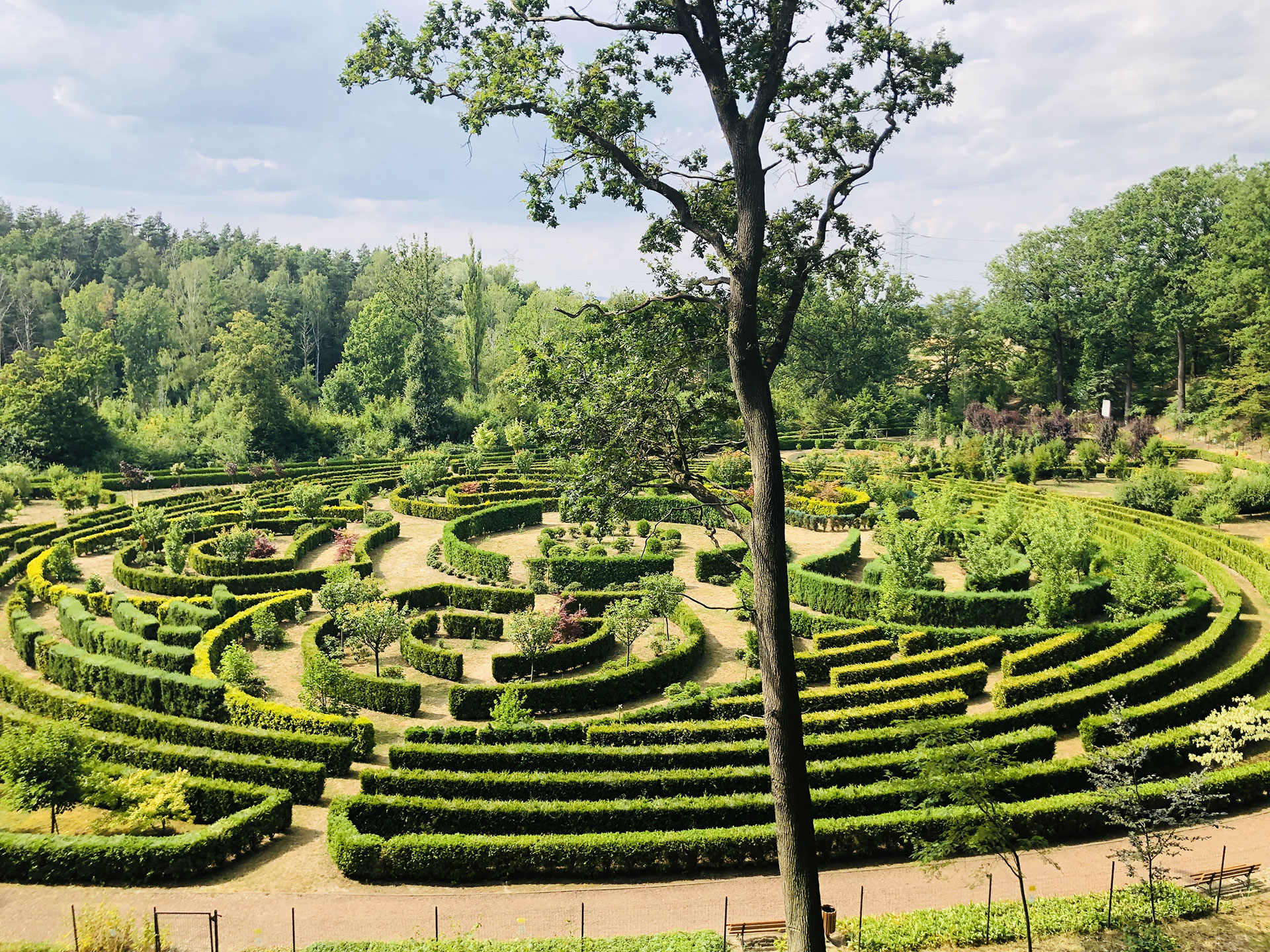 Arboretum moravské brány v Ratiboři